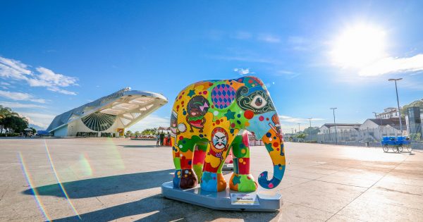 Des éléphants paradent à Rio pour la bonne cause - Bom Dia Brésil