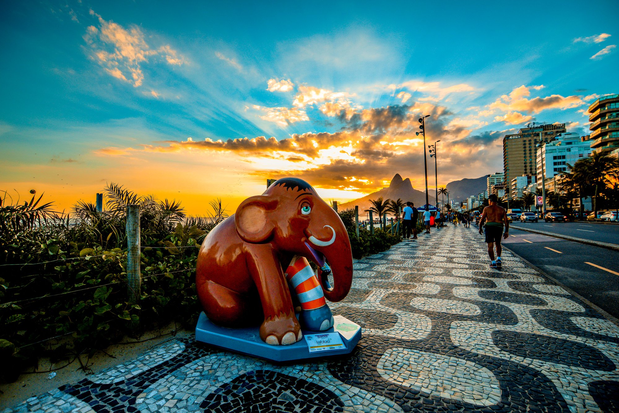 Des éléphants paradent à Rio pour la bonne cause - Bom Dia Brésil